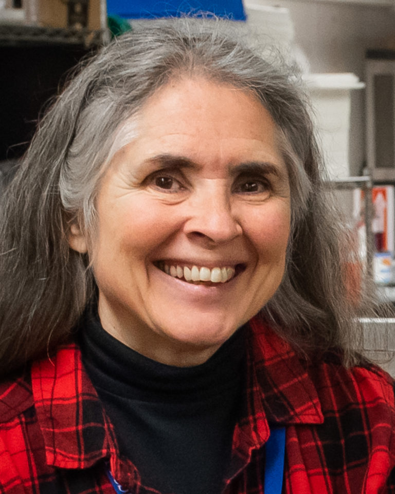 Elena’s Way - Preble Street